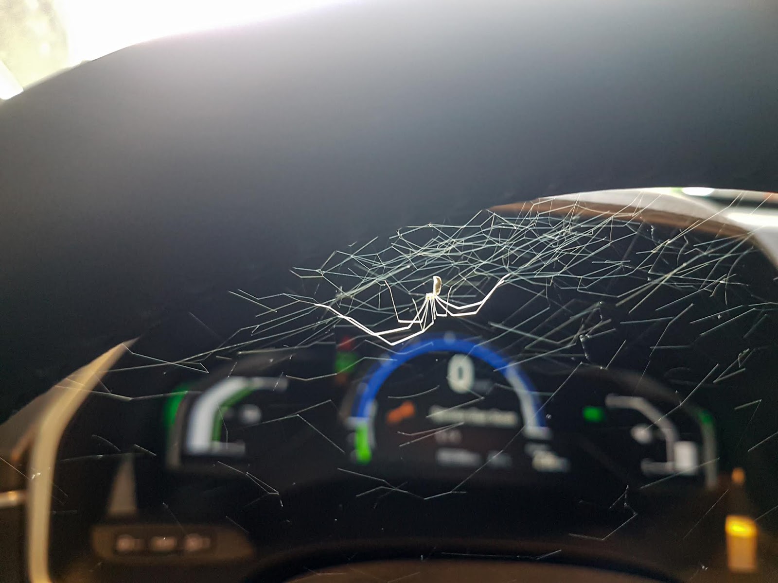 steering-wheel-spider
