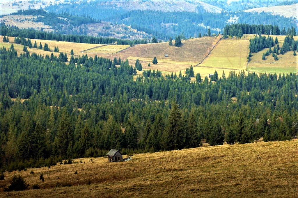 Traseu 11: Toplita - Tulghes - Ditrau (prin pasul Tengheler) - Parc ...