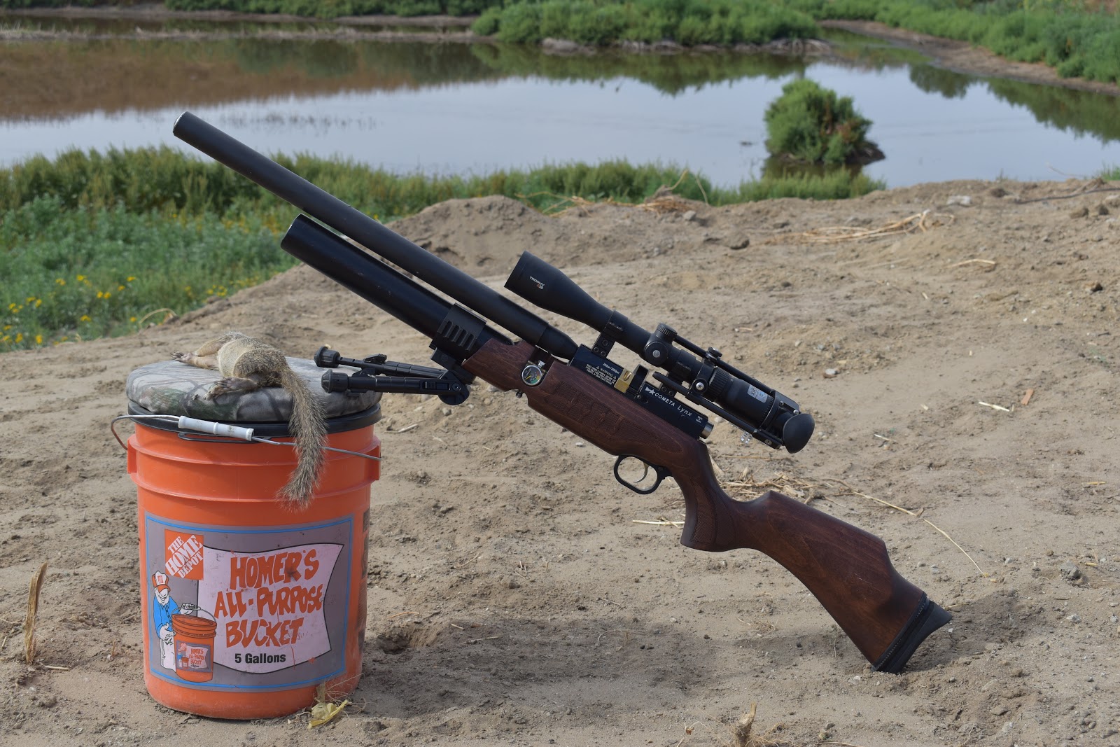 Tofazfou's HPA (high powered air gun) Expeditions: Cometa Lynx .20 caliber