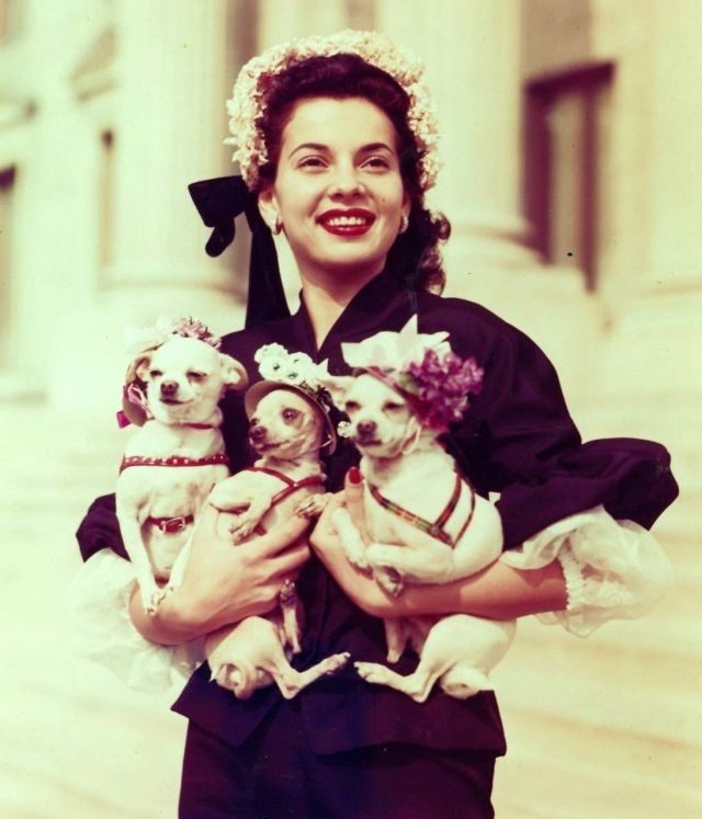 The Swingingest Sexpot in Show Business: Glamorous Photos of Abbe Lane ...