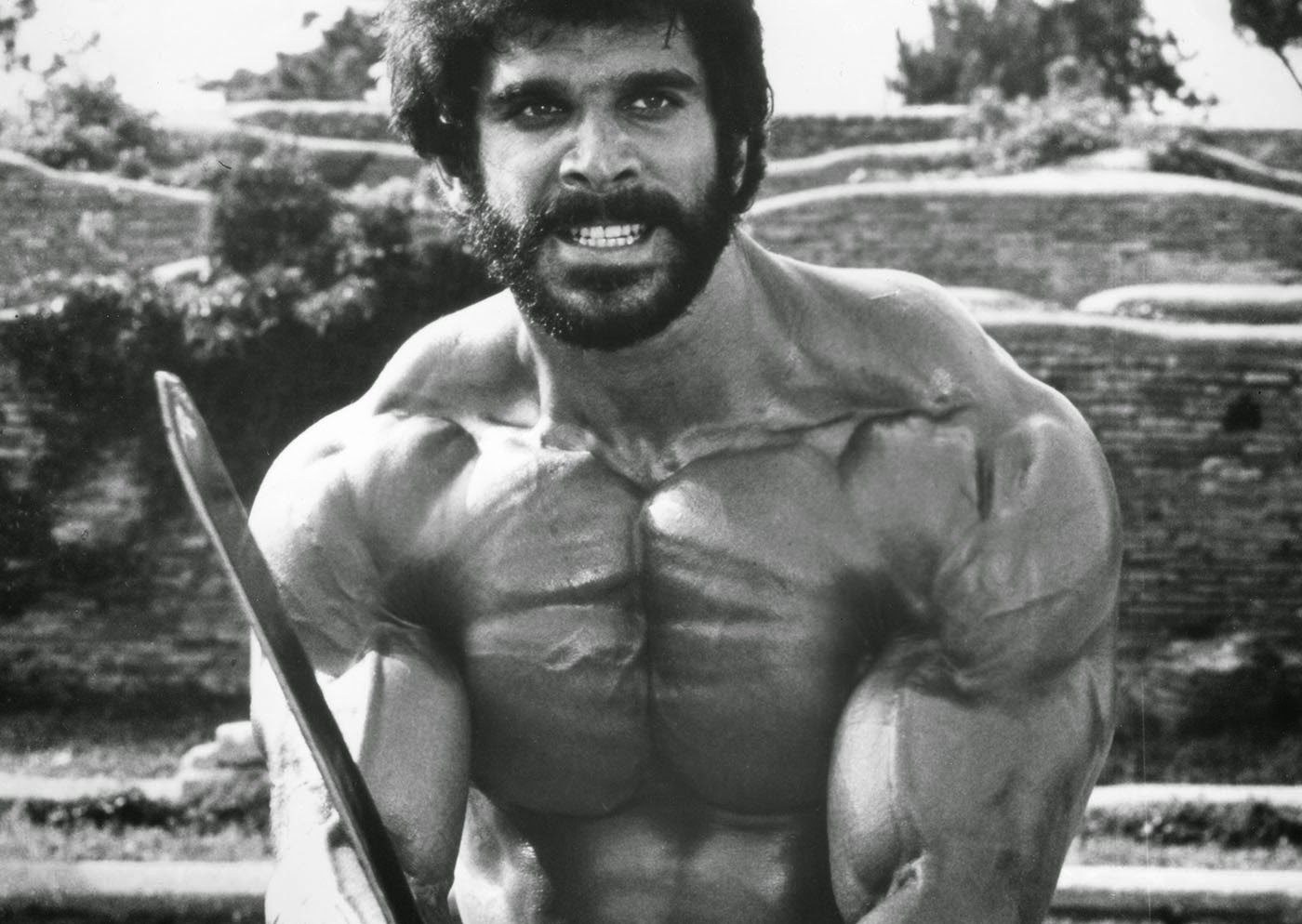 The Ultimate Hercules Blog: Lou Ferrigno in the Seven Magnificent ...