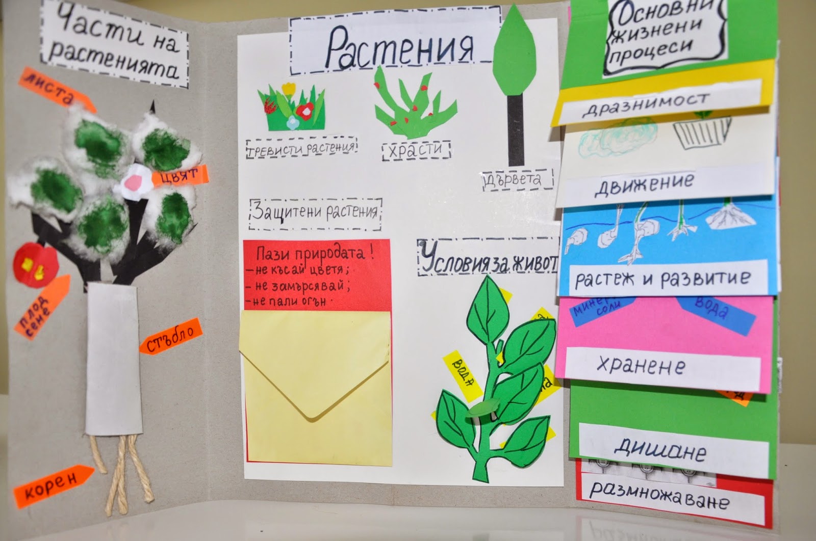 Хвърчащата класна стая: Интерактивна папка