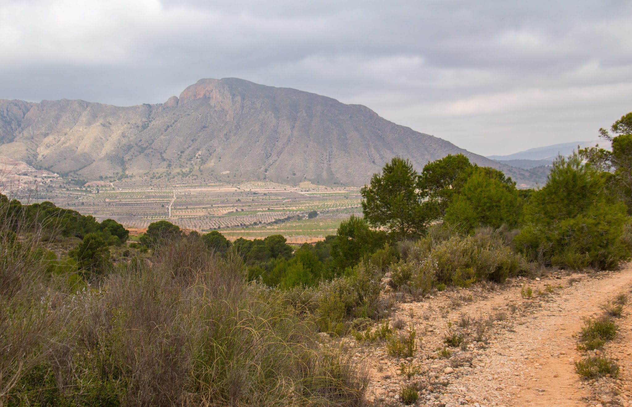 RUTA CIRCULAR AL CERRO DEL AGUDO DESDE BARBARROJA.