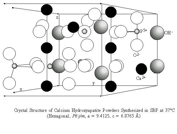 The Boundless Thicket: Pain is Beauty