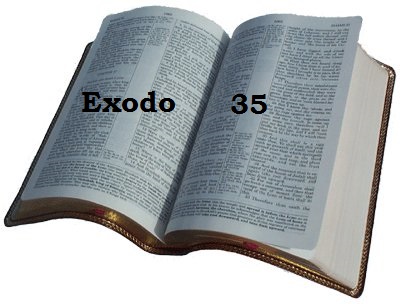 El camino a la salvación!