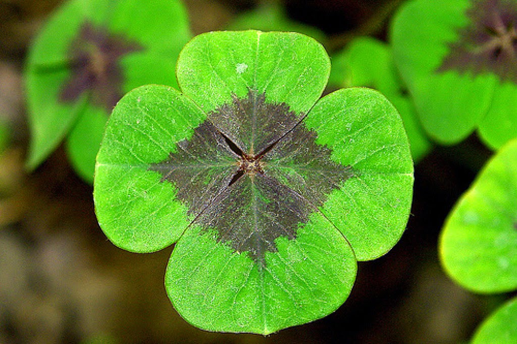 asomadaenlaventana: 2014