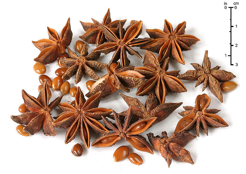 Star Anise - Star Aniseed | Illicium Verum - Cooking Signature