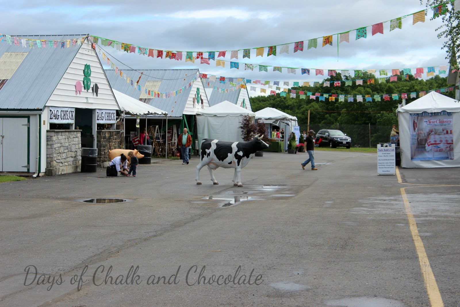 Country Living Fair--Some Pictures | Days of Chalk and Chocolate