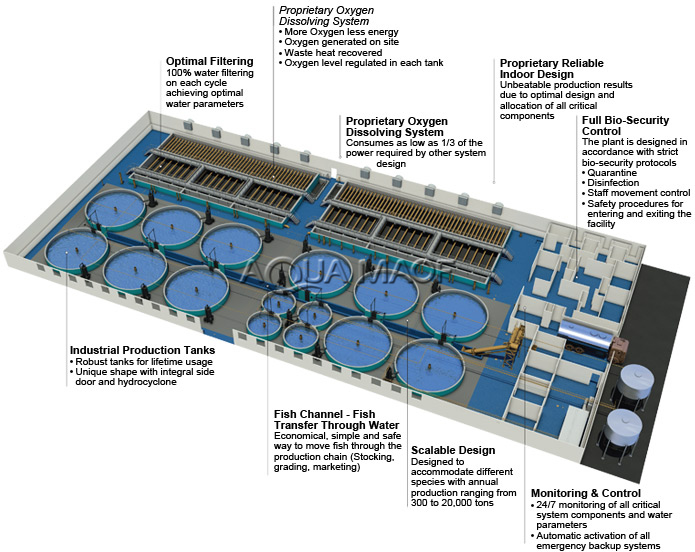 RYBÍ FARMA: RAS - The Indoor Recirculation Aquaculture System