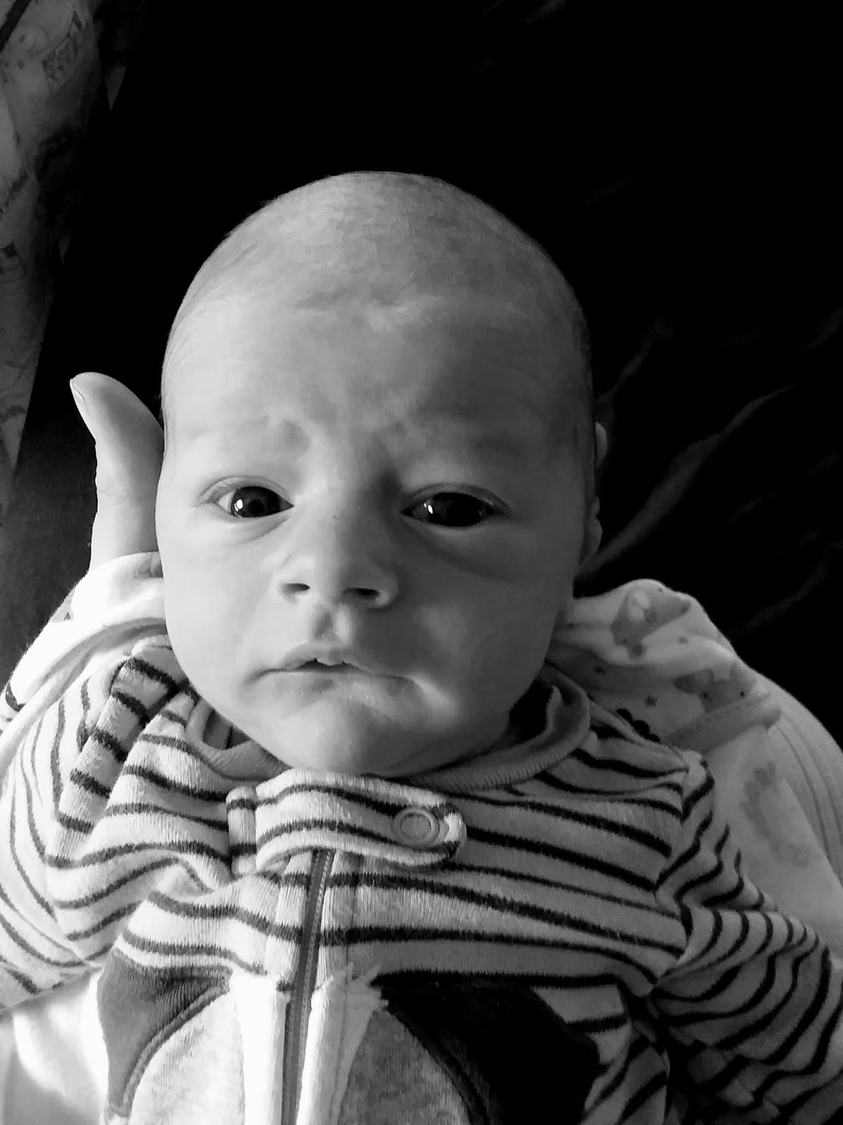 Roots: Peregrine Luke, a.k.a Elmer Fudd, a.k.a. The Chinless Wonder, 2.0