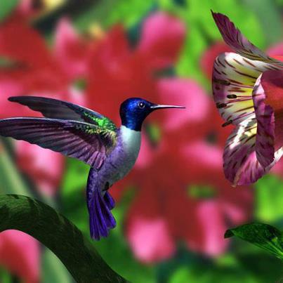 Princesa Nadie: Una taza nueva y un colibrí