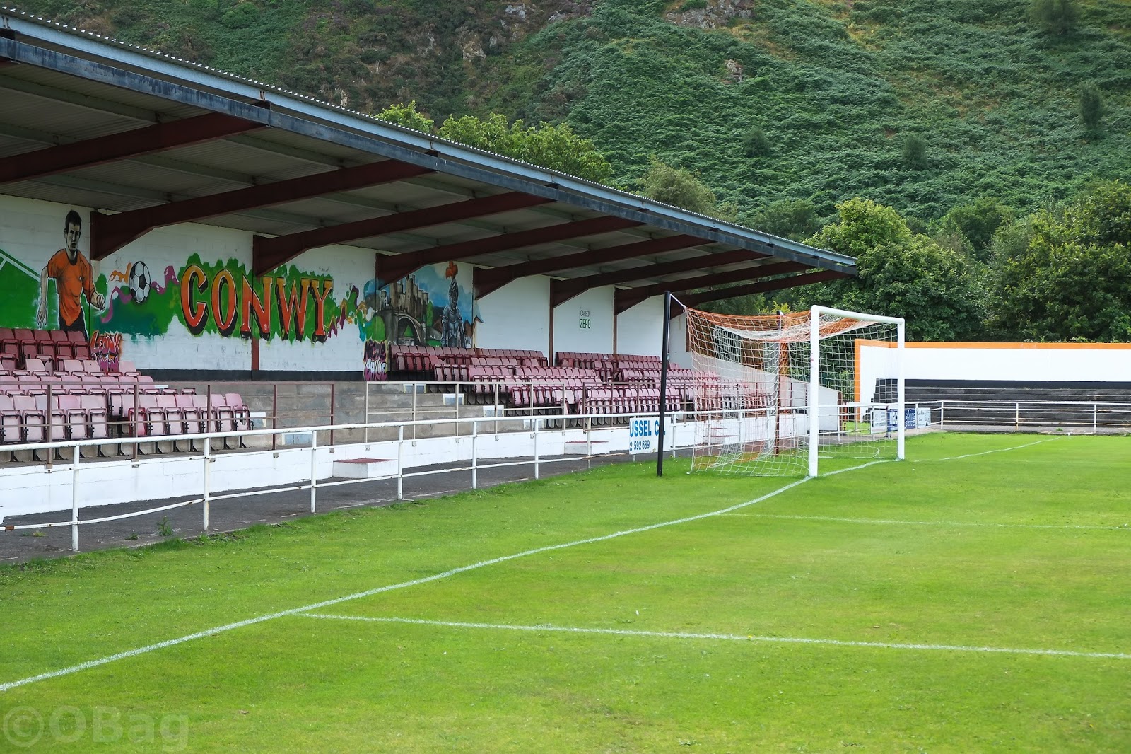 The Onion Bag: Conwy Borough