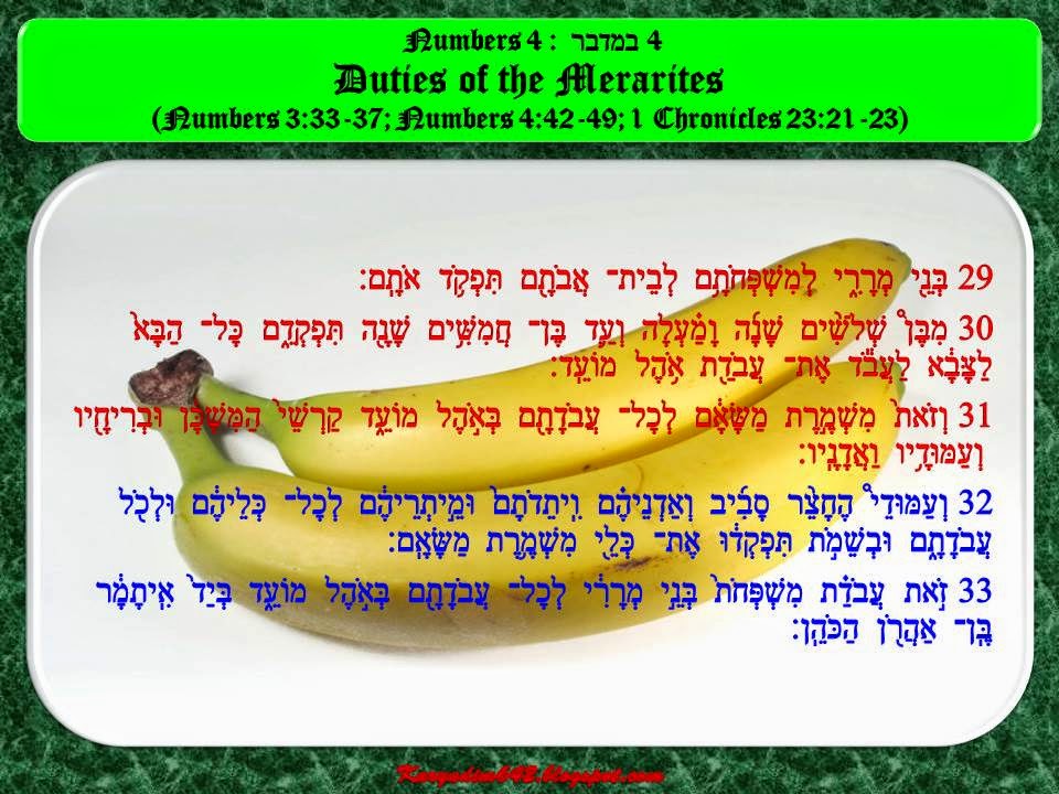 SENI MEMBENTUK GAMBAR: Numbers 4 : במדבר 4 Duties of the Kohathites ...