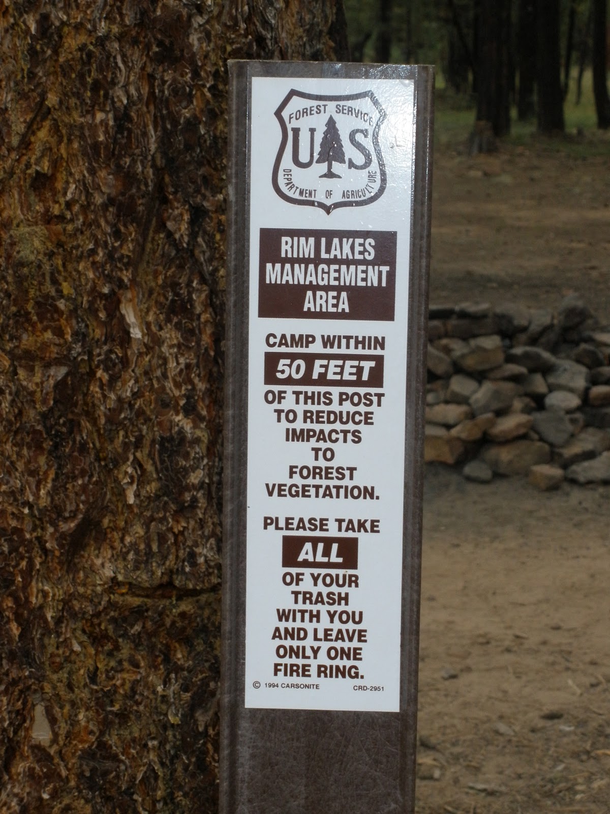 Arizona's Rim Lakes, Sitgreaves National Forest | Truck Camper Adventure