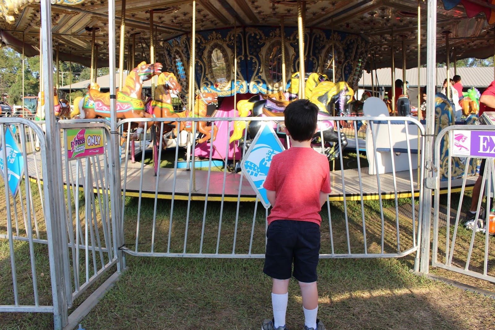 The 2016 Fair! - Wiley Adventures