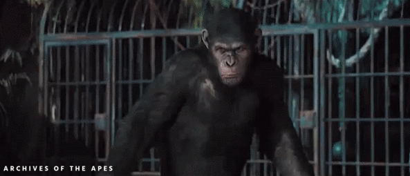 Archives Of The Apes: Rise Of The Planet Of The Apes (2011) Part 42