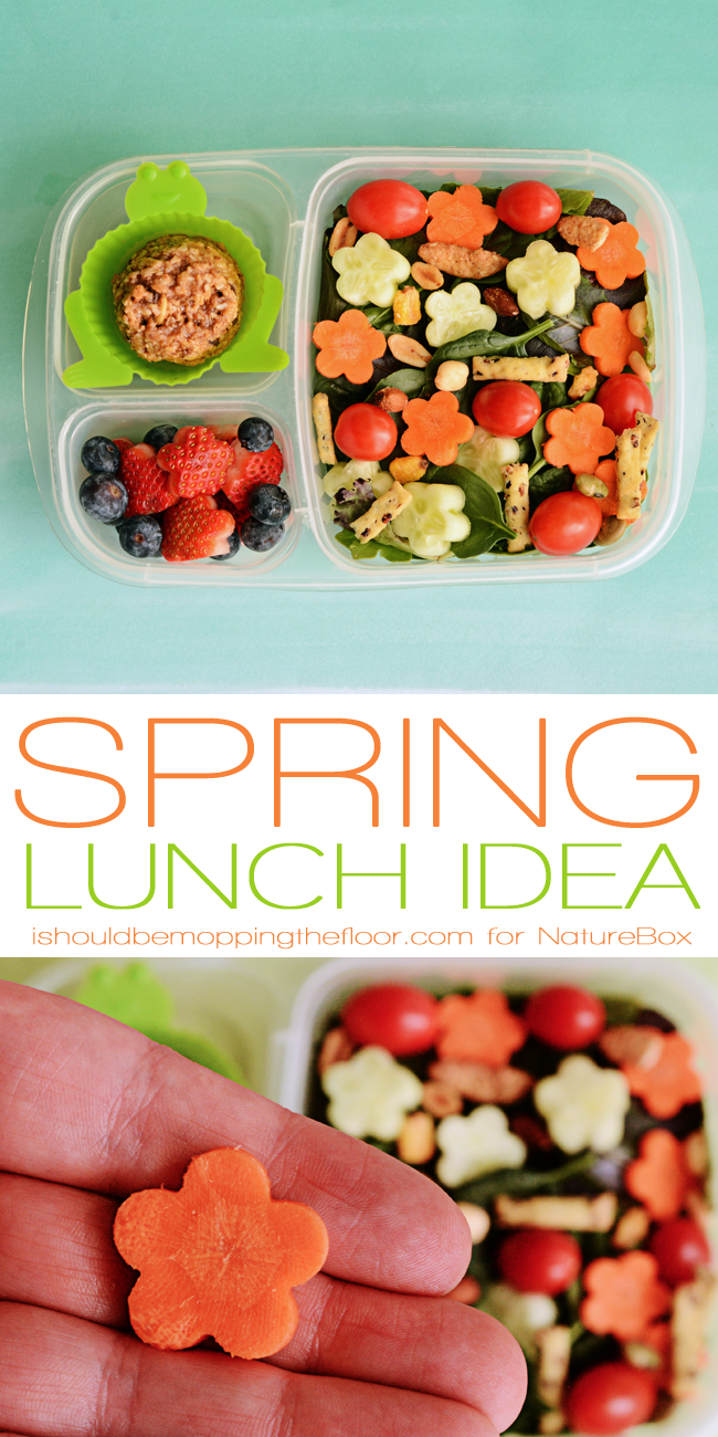 Spring Lunch Box Idea | i should be mopping the floor
