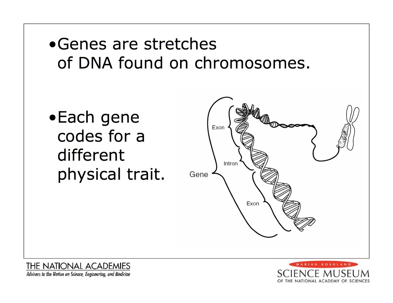 Ms. Dolan's 7th Grade Science: Tuesday, April 14th: Introduction to ...