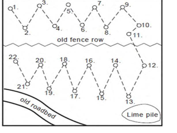How to Test Soil pH cheaply