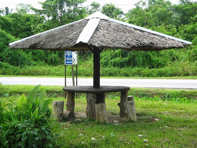 Pembekal Atap Rumbia Atap Nipah Atap Lalang Traditional Thatched Roof ...