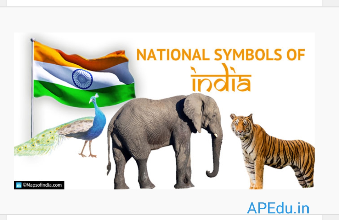 National symbols of India depict the country’s image and have been ...