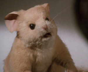 A Much Deeper Level: The Witches, Part 3: Boys Will Be Mice