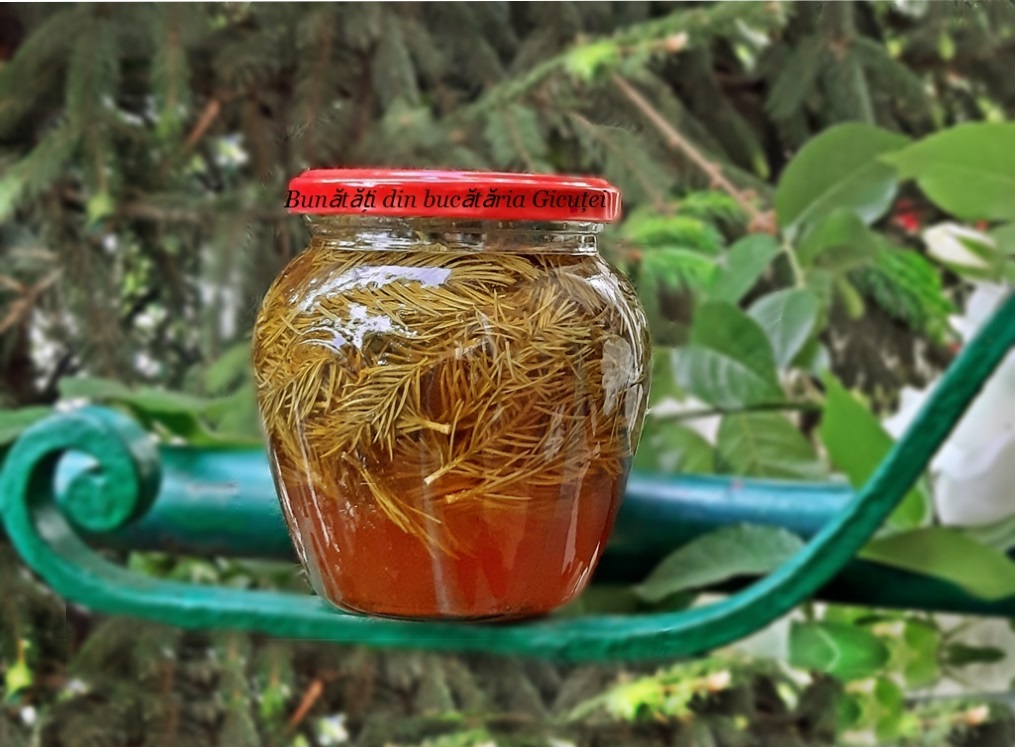 Sirop natural din muguri de brad si miere- preparat la rece - Bunătăți ...