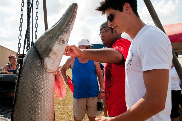 EL RRUN RRUN: LIKE MESQUITE WOOD, CATAN FINALLY GETTING ITS DUE