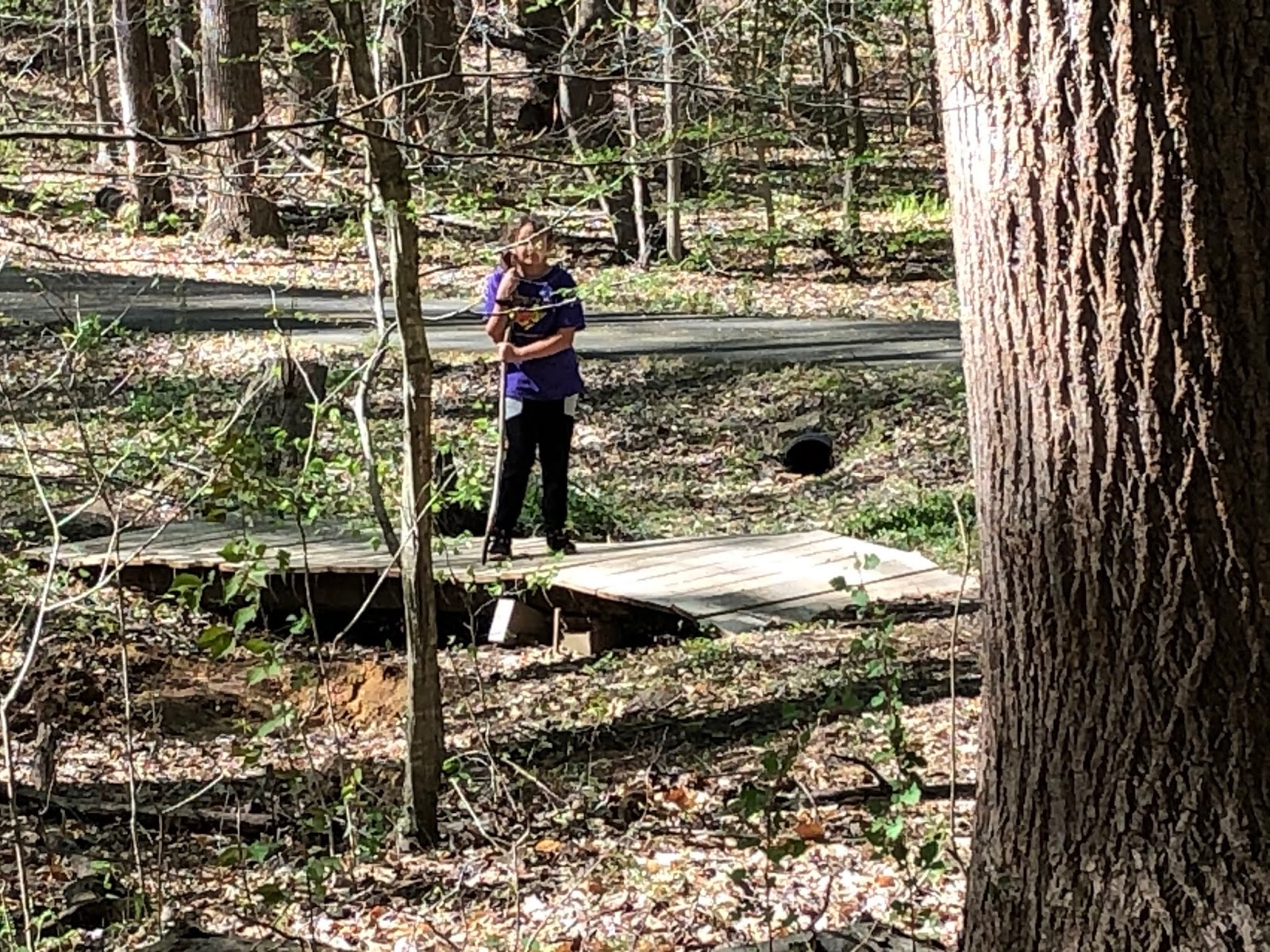 Ms. Nancy's Nook : The Molly Moocher Hunt!