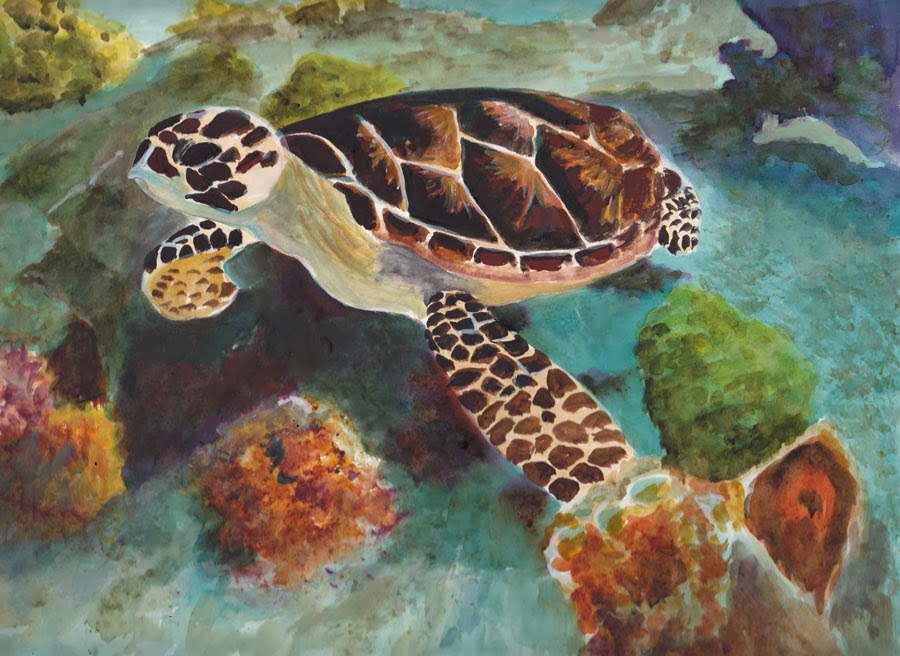 DAILY PAINTERS MARKETPLACE: Sea Turtle Watercolor Painting