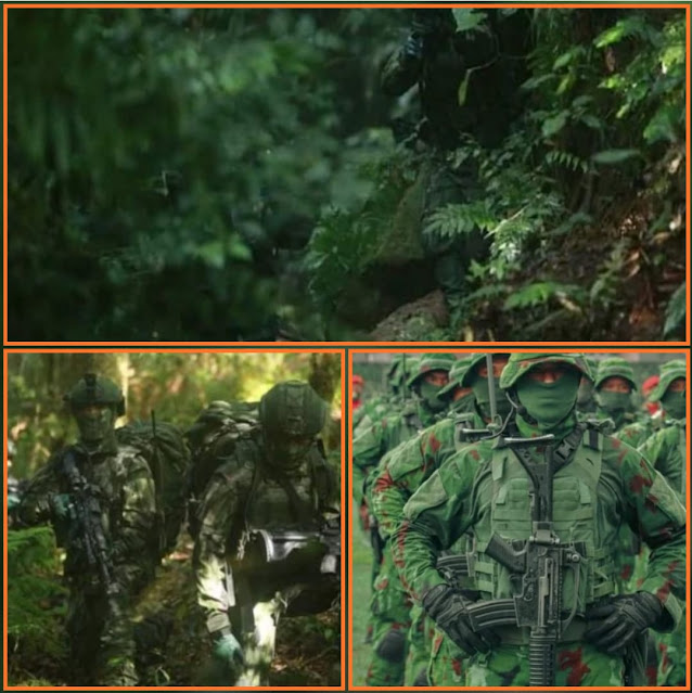 INFONEWS.CO.ID - PORTAL BERITA ALTERNATIF