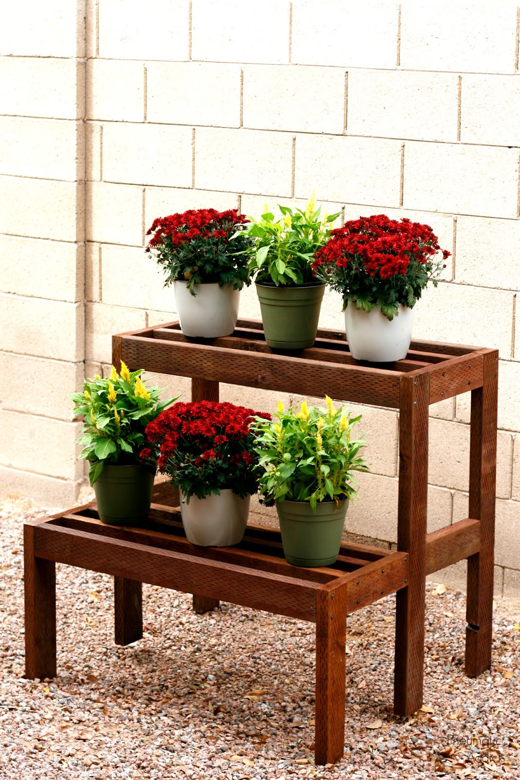 Diy Tiered Display Shelf at Lola Wall blog