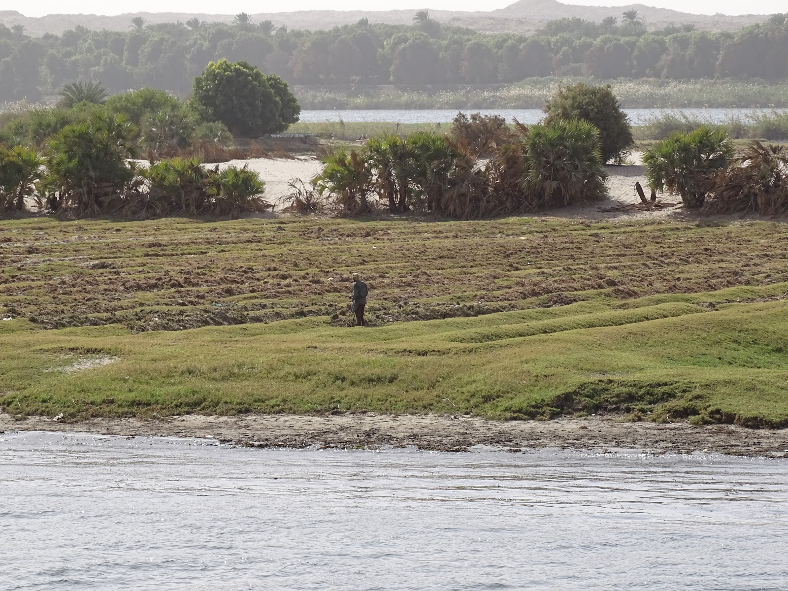 TRAS LAS HUELLAS DE HERÓDOTO. . . : EGIPTO EL DON DEL NILO.