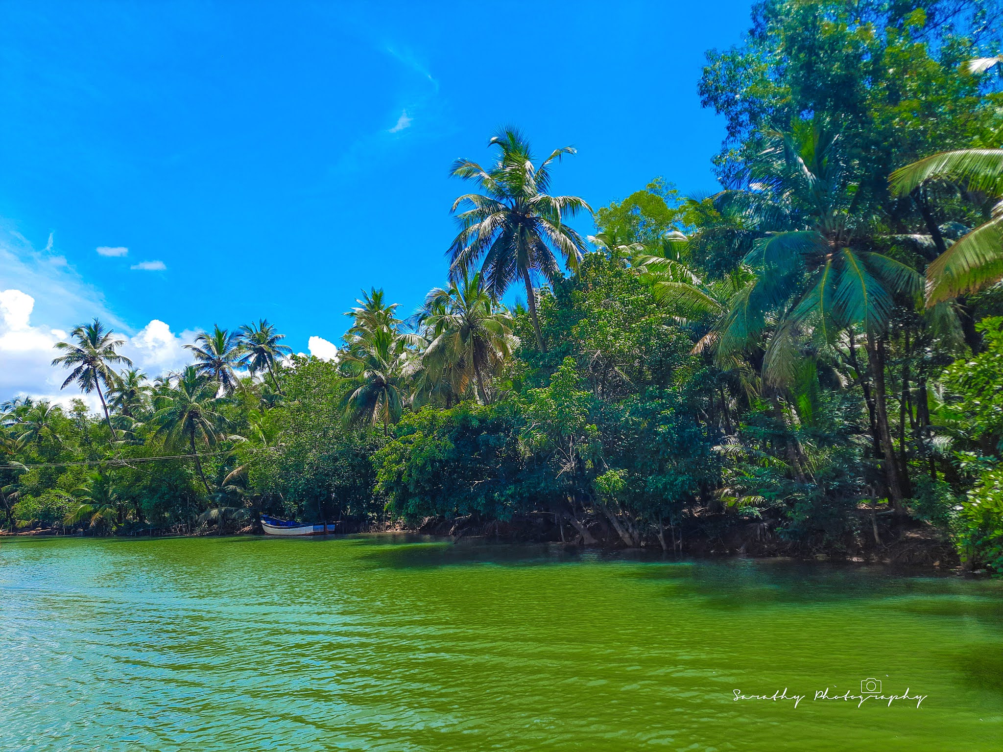 A colourful Boat ride in the Sharavathi Backwaters