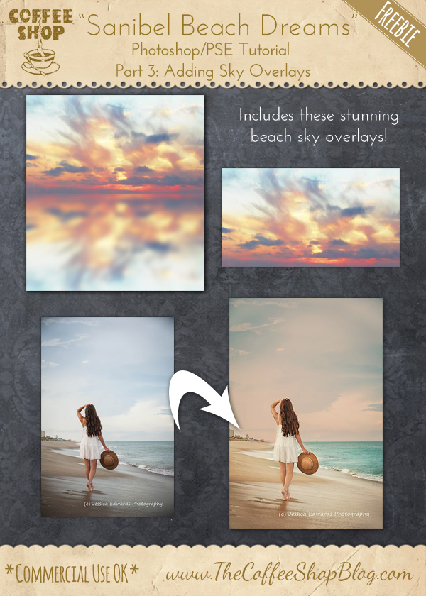 The CoffeeShop Blog: CoffeeShop "Sanibel Beach Dreams" Photoshop/PSE ...