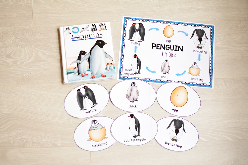 Life Cycle Learning Activity Packs | The Pinay Homeschooler