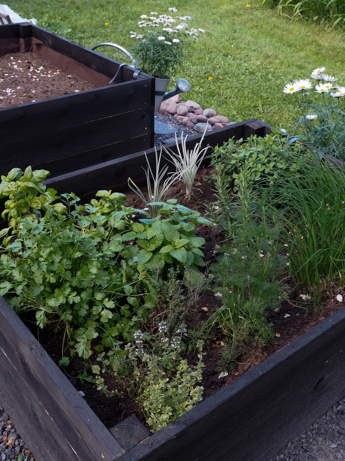 DIY - Kasvimaa viljelylaatikoihin — Keltainen kahvipannu