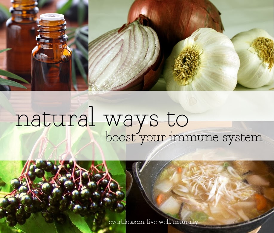 Natural Immune System Support - Tips + Tactics | Everblossom | Natural ...