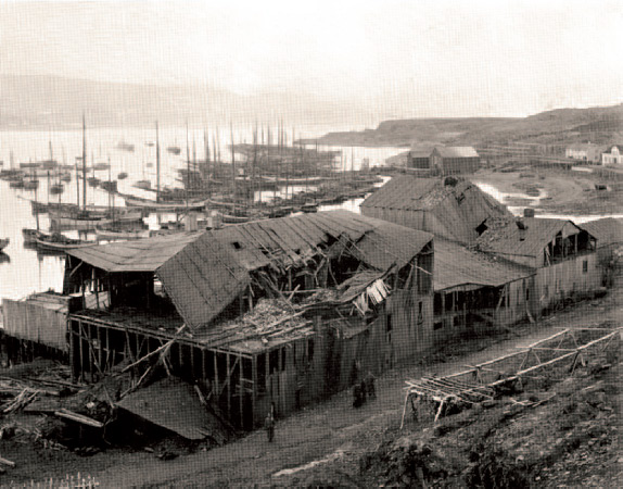 På leting etter: : Hvalfangst langs Finnmarkskysten