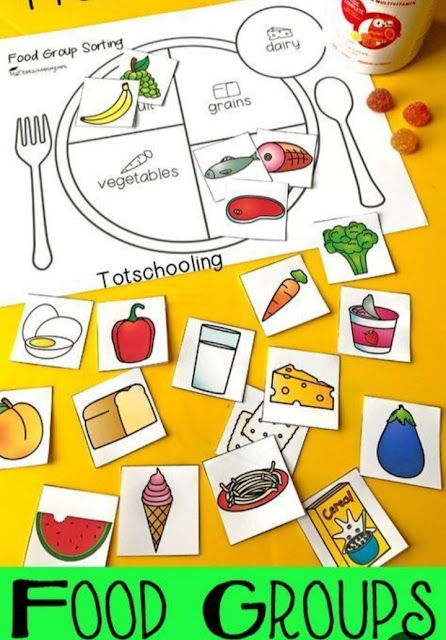 Food Groups and Classification of Food Groups