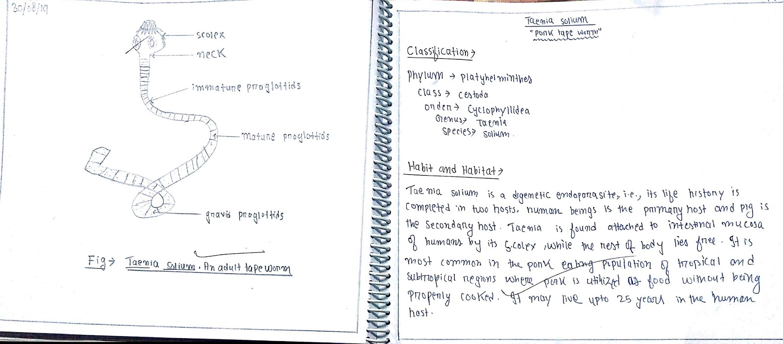 PRACTICAL NOTEBOOK OF ANIMAL DIVERSITY | CBCS B.Sc 1st Semester Zoology ...