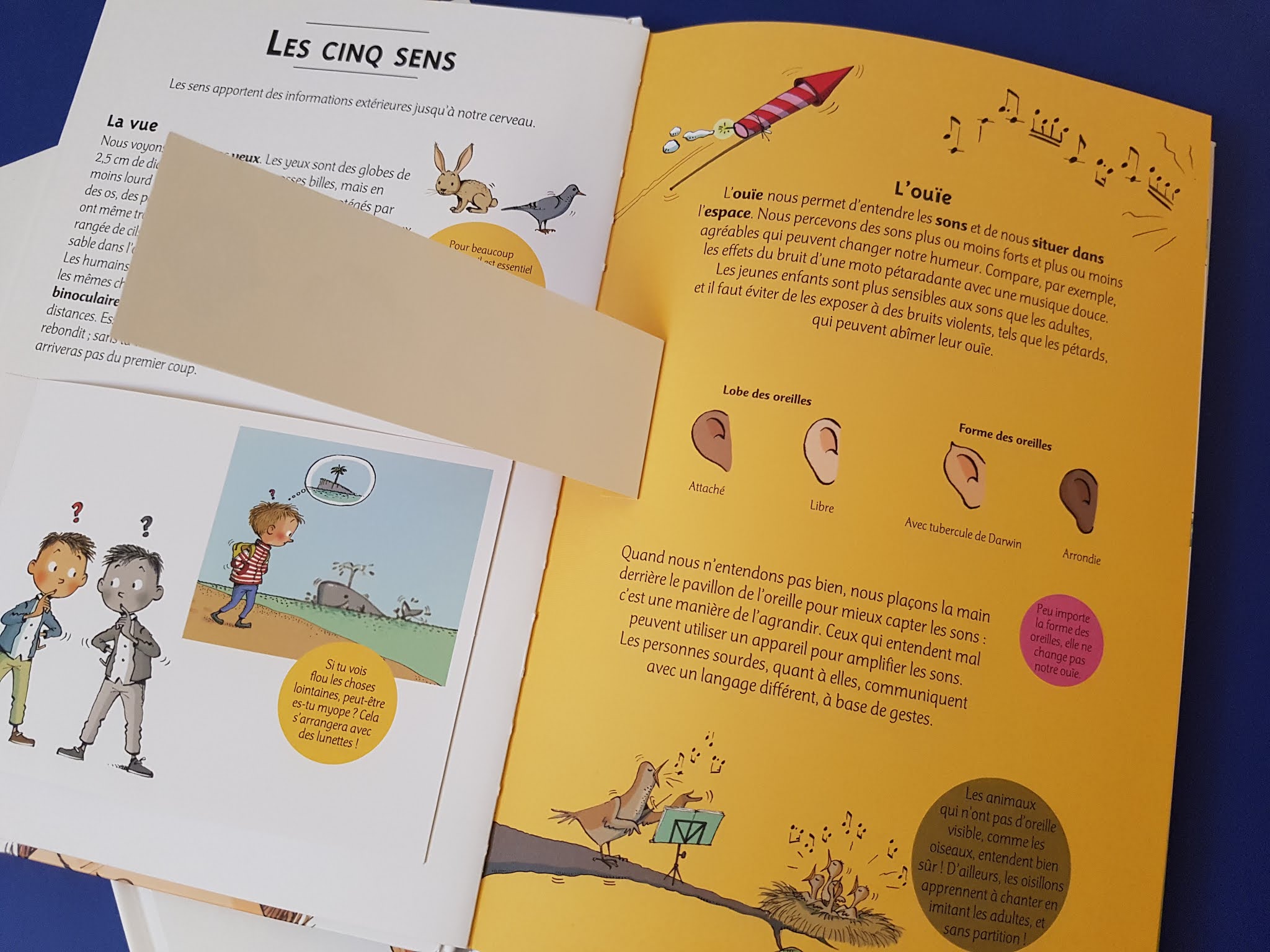 Sous le feuillage: Mon corps est génial ! Son organisation intérieure ...