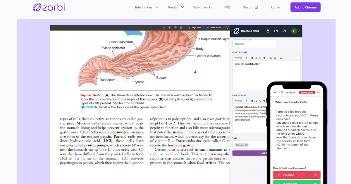 Zorbi 快速擷取網頁知識、單字製作 Flashcards，自動間隔記憶複習