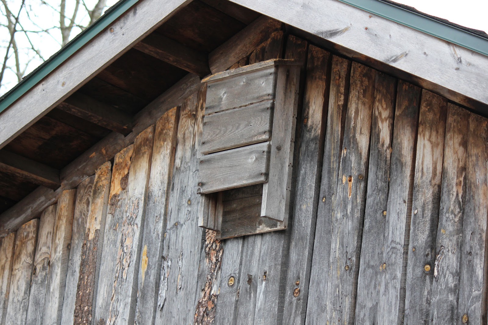Cons Of Bat Houses at Amy Browning blog