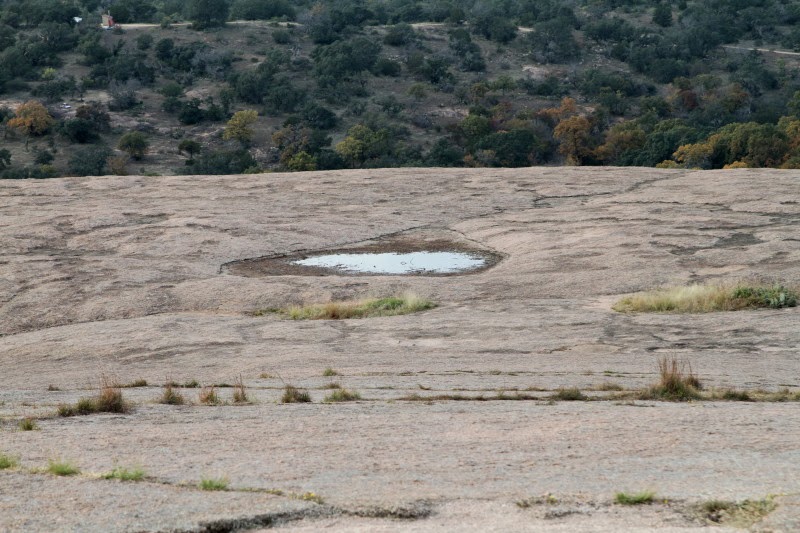 Mark & Teri's Travels: Vernal Pools and Fairy Shrimp
