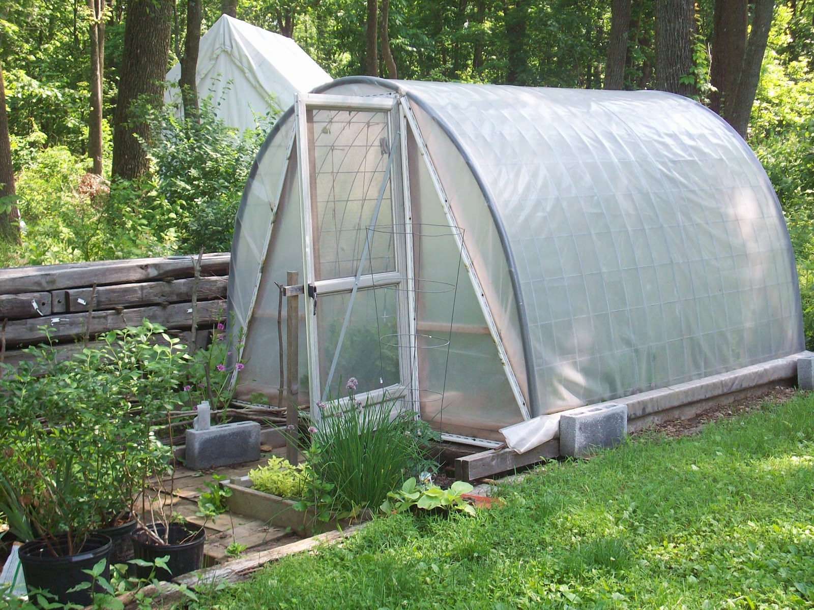 4 acres and a stream: Moving the animals and the hoop house