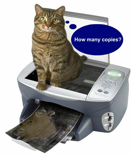 theGUITARaddict: Copy cat