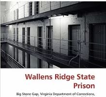 Virginia Prisons Accountability Committee: 2019