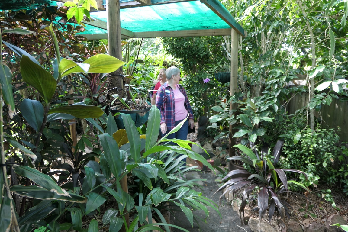 SubTropical Queensland Open Garden