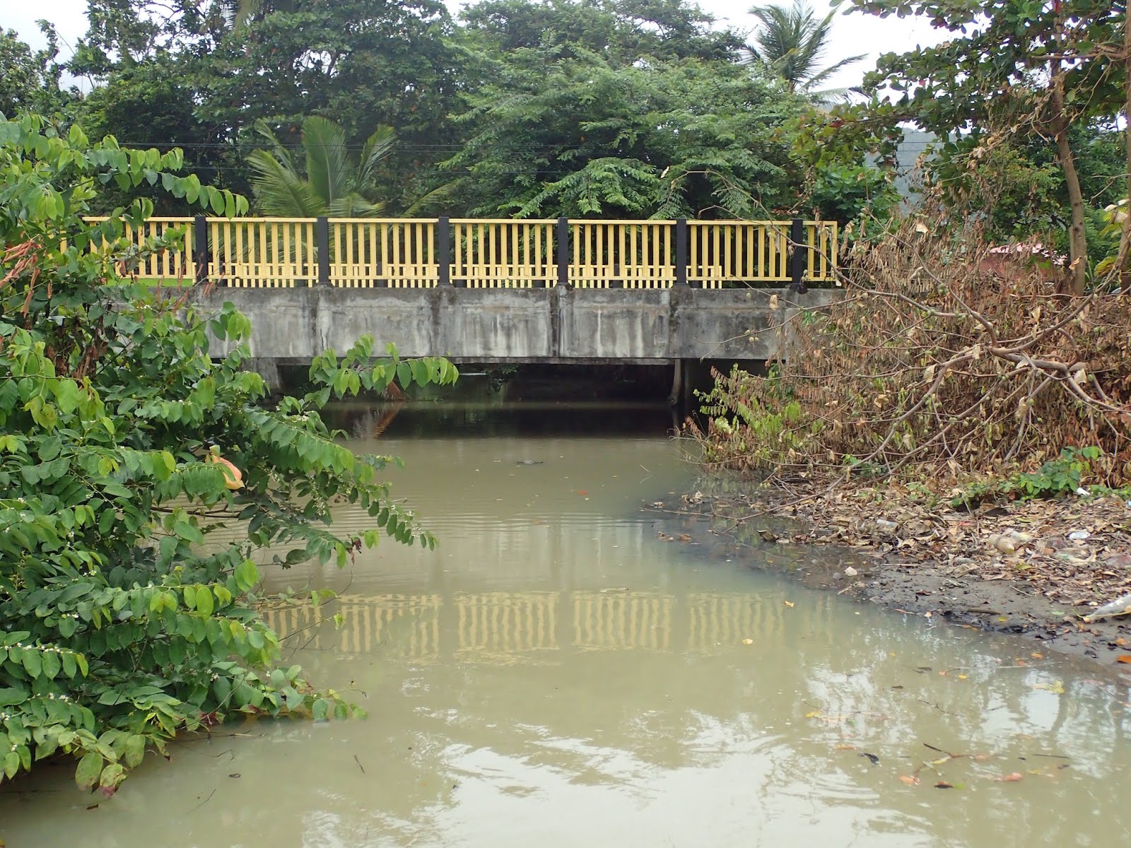 Things we did today...: My Dominica